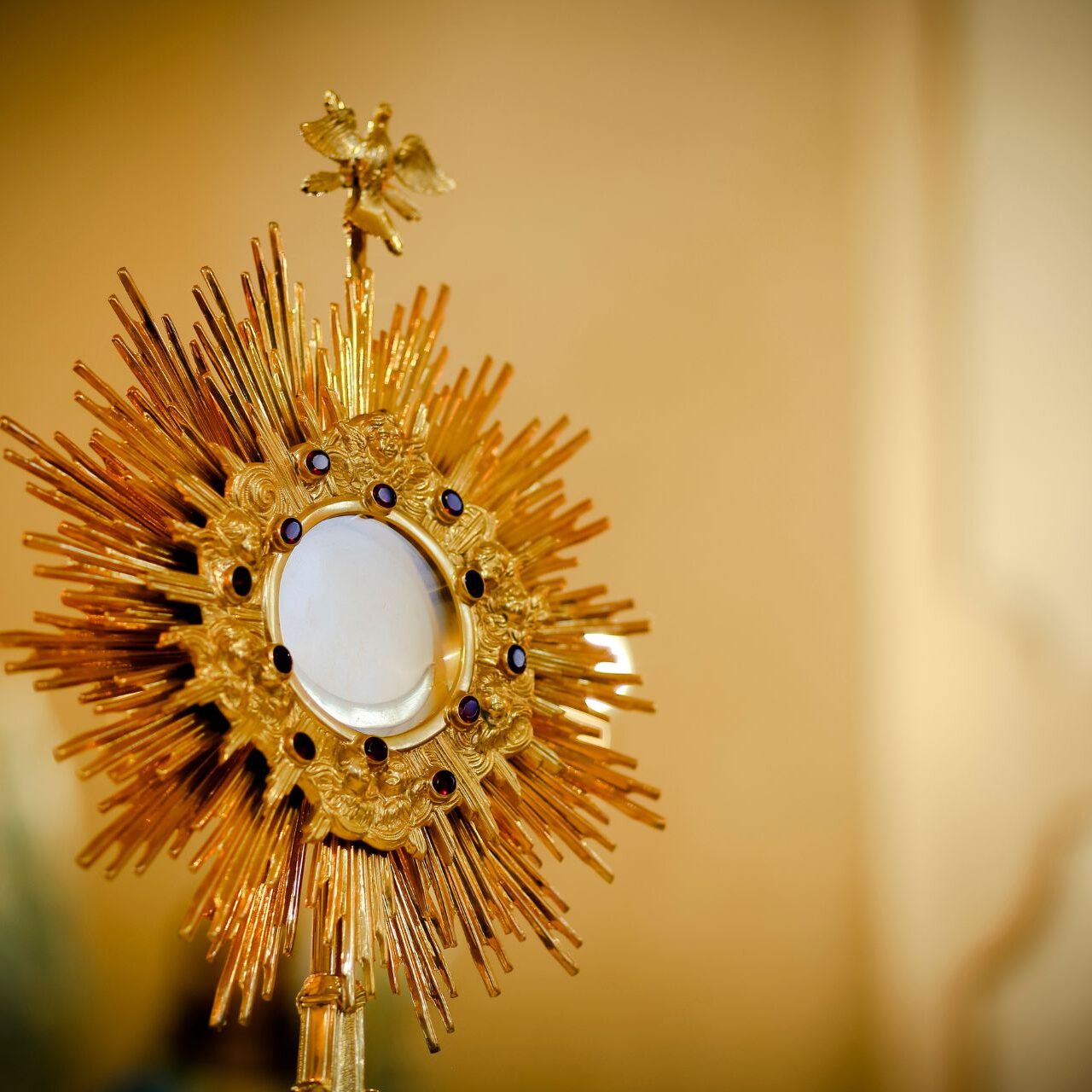 Archdiocese of Winnipeg | Roman Catholic Archdiocese of Winnipeg