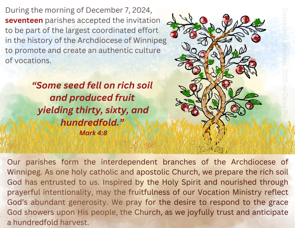Trusting in a Yield of a Hundredfold Harvest: Seventeen parishes ...